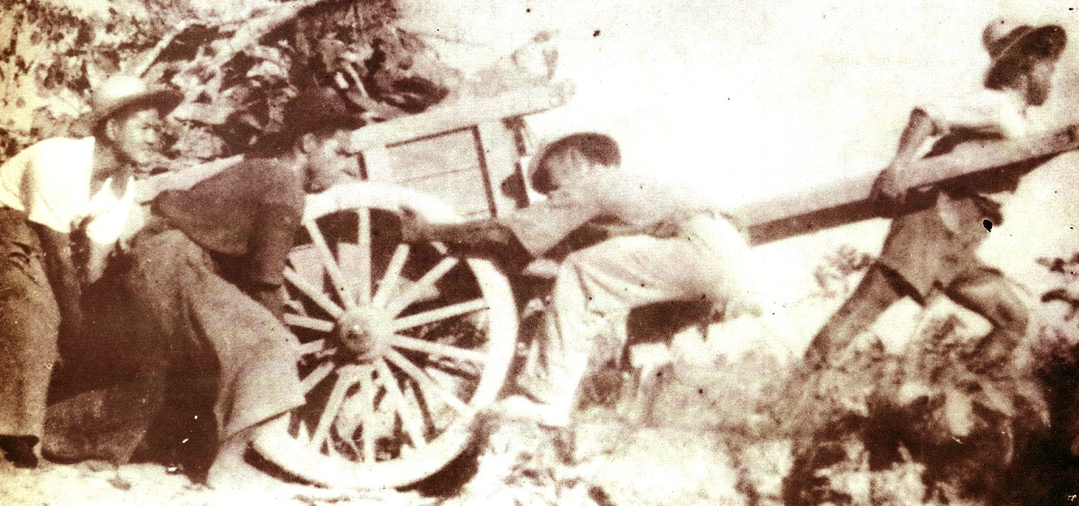 About Us – Maejo University Archives